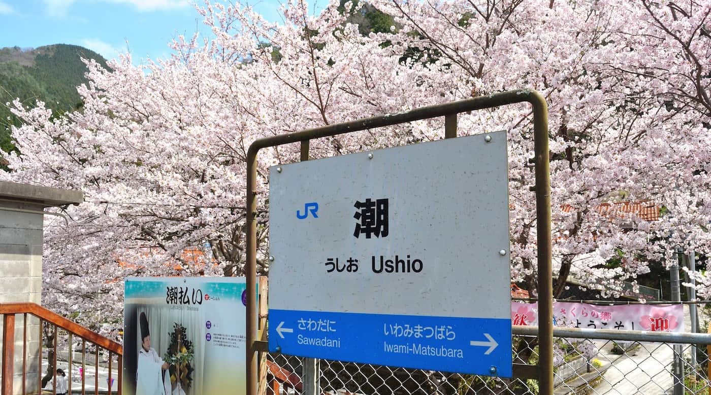 "Sakura Station" Ushio | Get Hiroshima