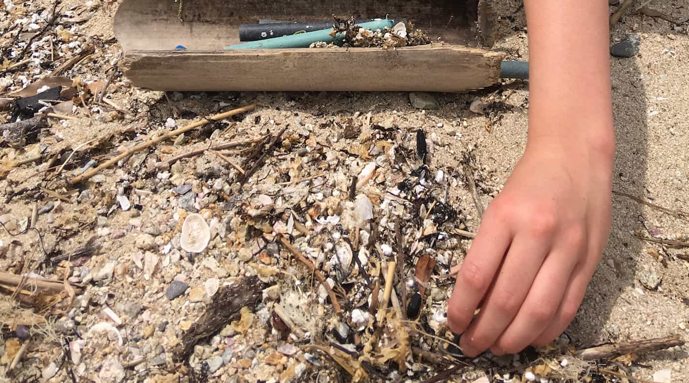 Hiroshima Beach Clean Up | Get Hiroshima